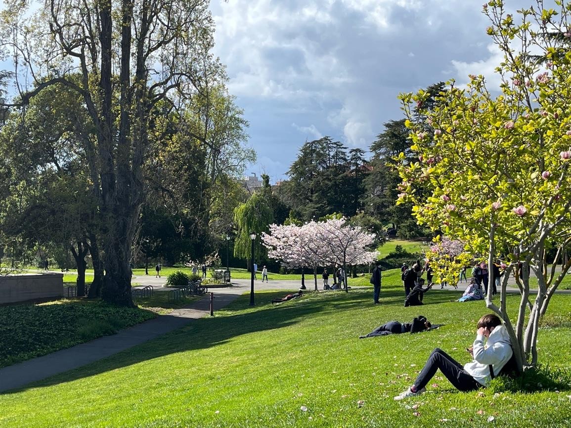 浅忆加州访学之旅：2022年加州大学伯克利分校3+1交流项目随感